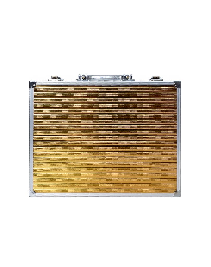 Vincent Barber Master Case Small - Gold - Barber Depot - Barber Supply